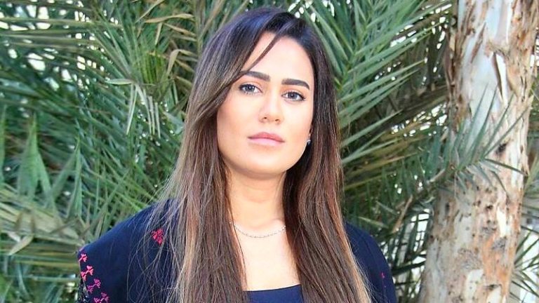 ريم البارودي Reem El Baroudy - قصة حياة، السيرة الذاتية، معلومات، ويكيبيديا